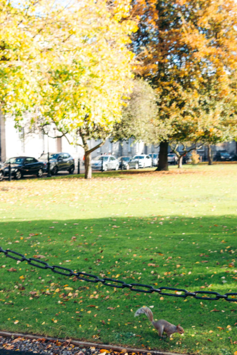 How to Visit Trinity College Dublin (A Guide for Non-Students) - Roads and Destinations