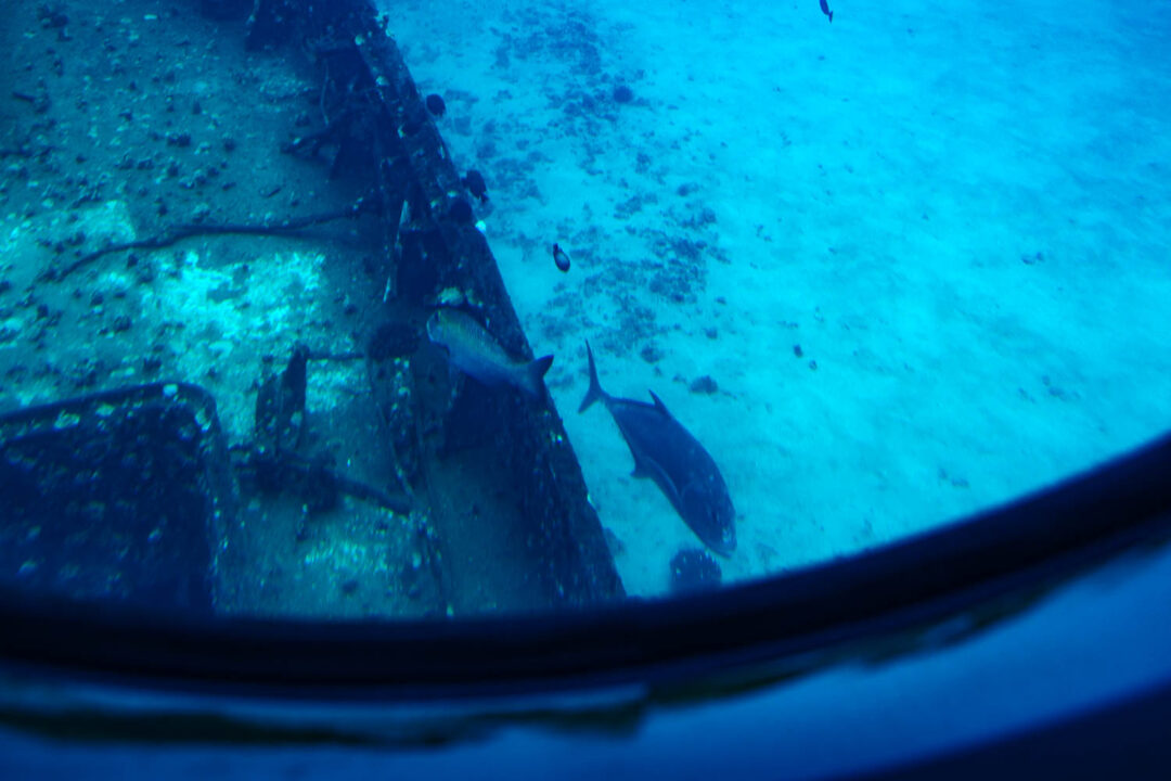 The Underwater World of Maui: Atlantis Submarine Adventure - Roads and ...