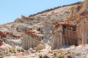 The 9 Best Things to Do in Red Rock Canyon State Park, California ...