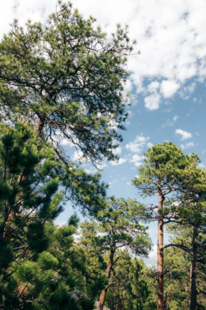 How to Visit Mount Rushmore National Memorial: Presidential Trail ...
