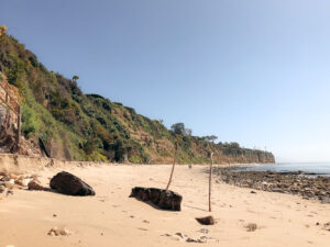 Point Dume State Beach: A Secret Spot in Malibu - Roads and Destinations