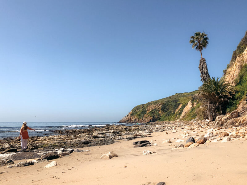 Point Dume State Beach: A Secret Spot in Malibu - Roads and Destinations