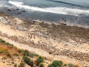Point Dume State Beach: A Secret Spot in Malibu - Roads and Destinations