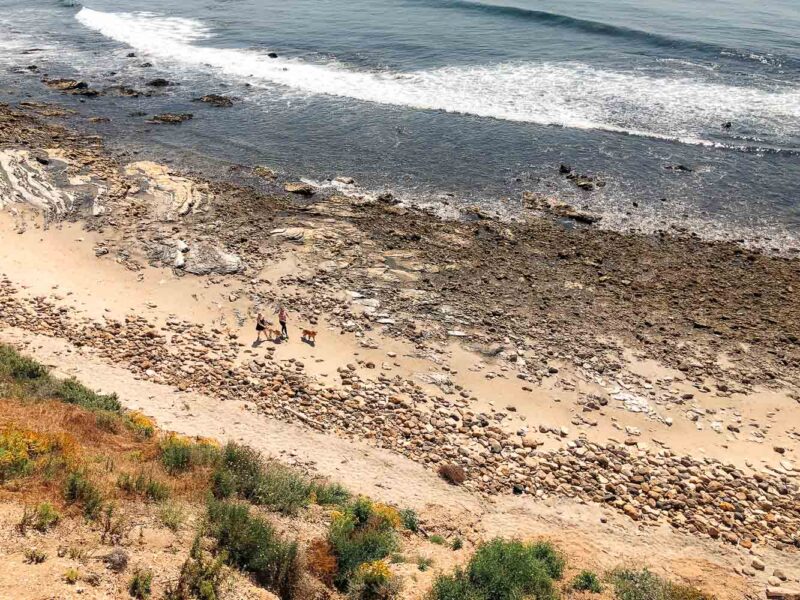 Point Dume State Beach: A Secret Spot in Malibu - Roads and Destinations
