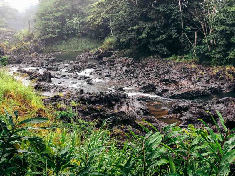 Rainbow Falls in Hilo, Big Island: A Place Where Rainbows Form - Roads ...