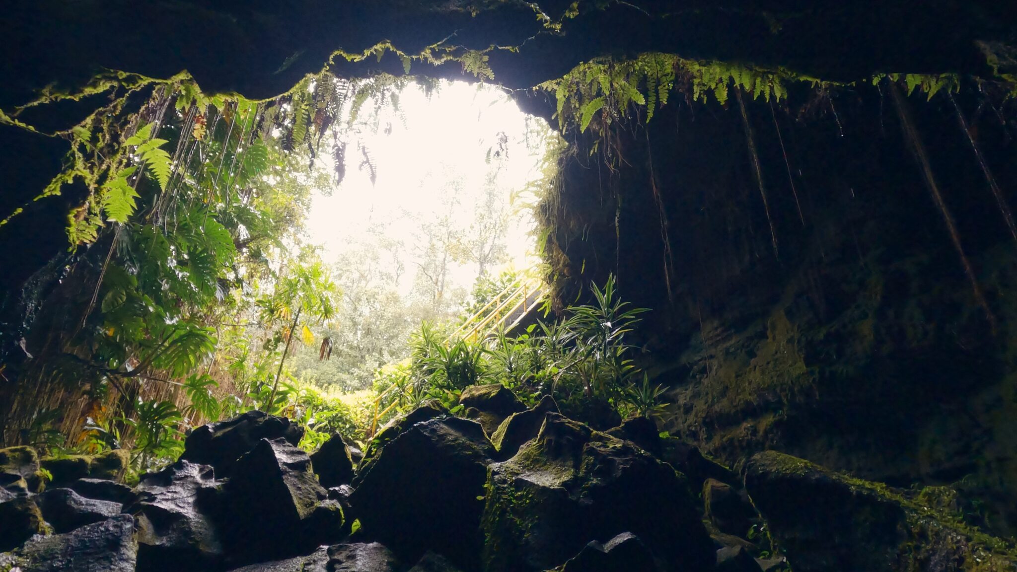 8 Crazy Interesting Children’s Books about Hawaii - Roads and Destinations