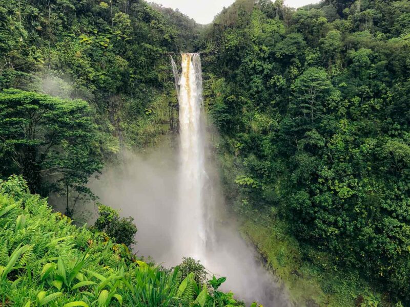 Hiking to Akaka Falls on the Big Island of Hawaii - Roads and Destinations