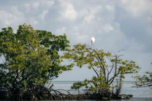10 Things You Must Do in Biscayne National Park, Florida - Roads and ...