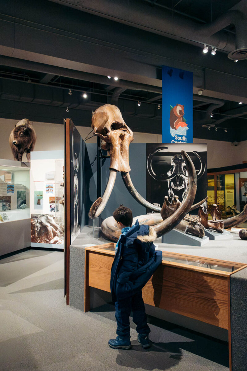 The Museum of the North, Alaska. Is It Worth It? (+Photos) - Roads and ...