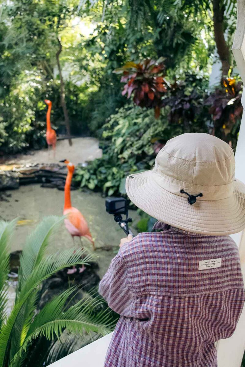 Butterfly Sanctuary at Key West Butterfly & Nature Conservatory - Roads ...